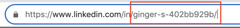 How to Get LinkedIn URL: A Step-by-Step Guide - Lempod